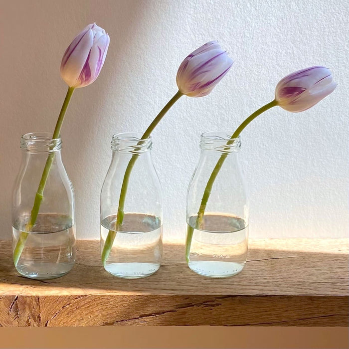 Grant & Budds 3 Glass Milk Bottle Vases - Small | Gift Boxed